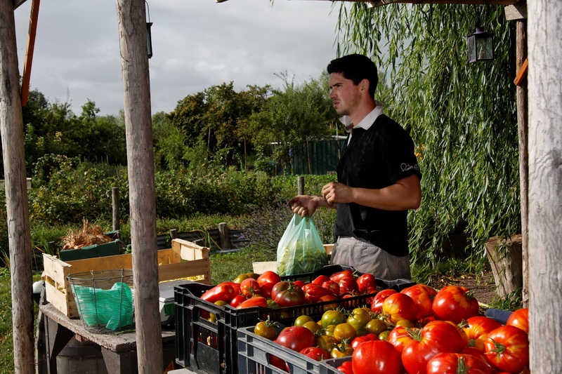 Maraîcher Bio Le Goût des Marais - Saint Martin d'Auxigny - (18)